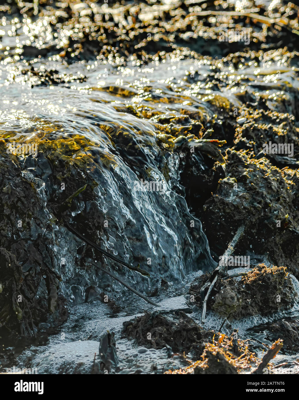 Rain water run off hi-res stock photography and images - Alamy