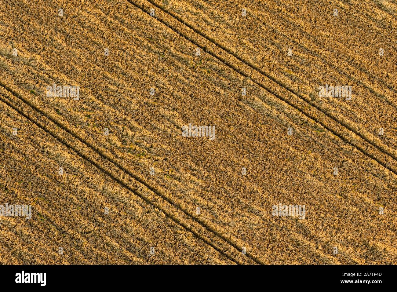Autumn grain field on an aerial photograph Stock Photo - Alamy
