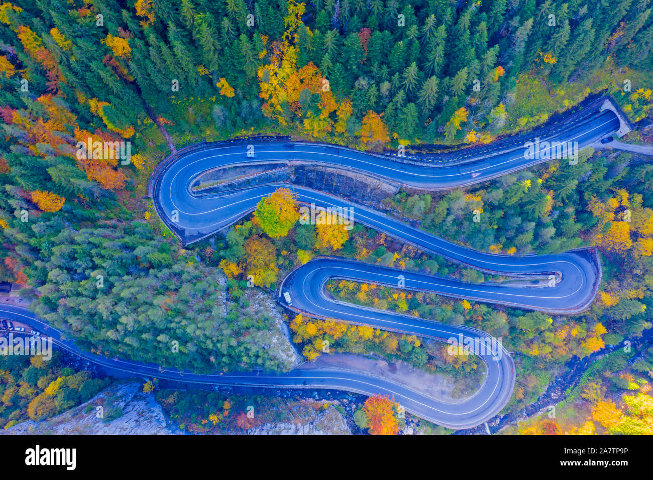 Above view of winding road in autumn forest. Bicaz Gorges are a ...