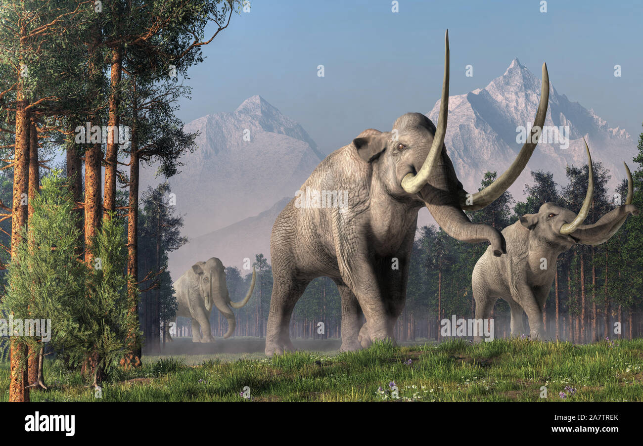 The Columbian Mammoth is an extinct animal that inhabited warmer ...