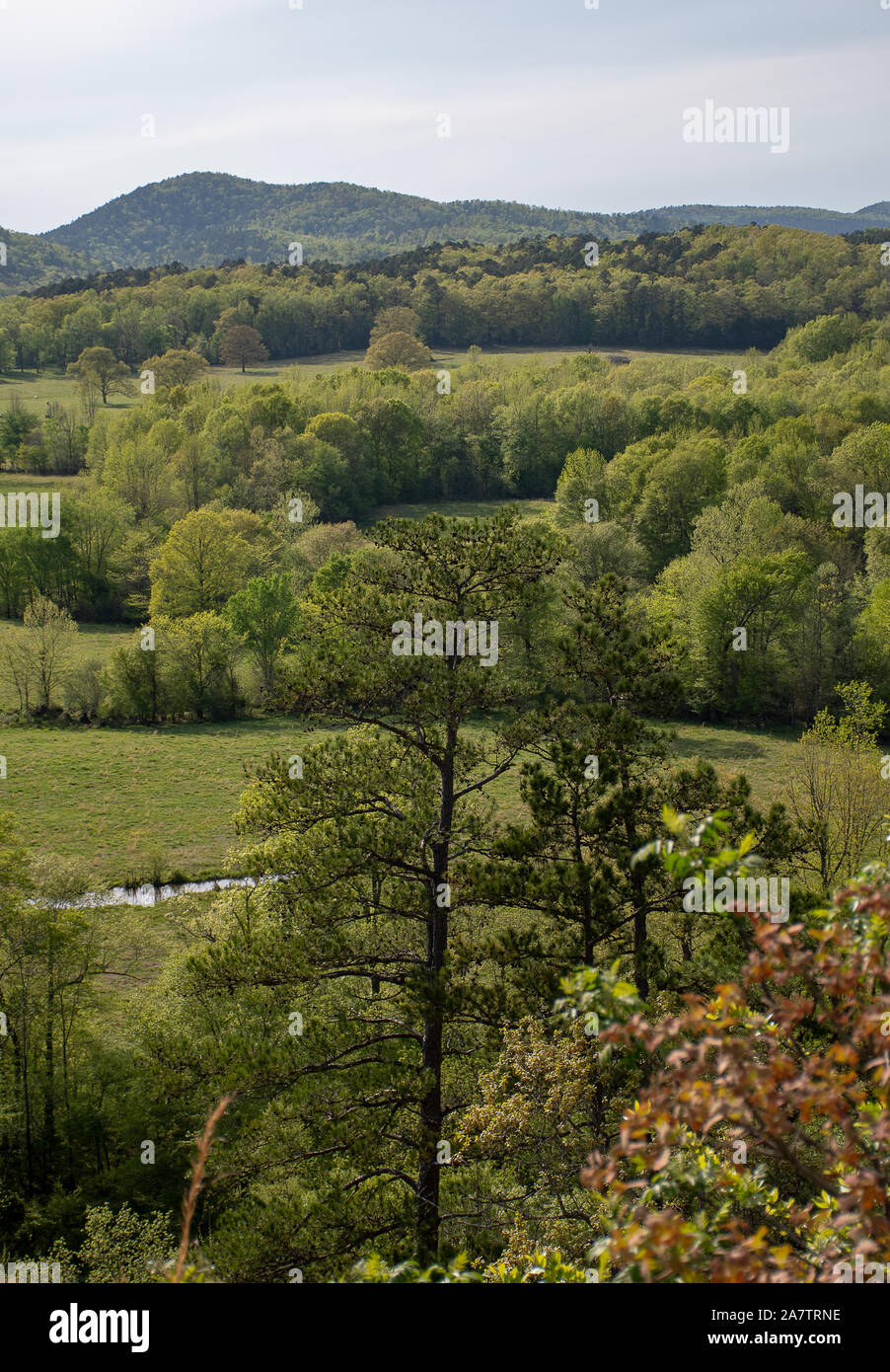 View of the valley from the top of a mountain in Ozarks, Arkansas Stock ...