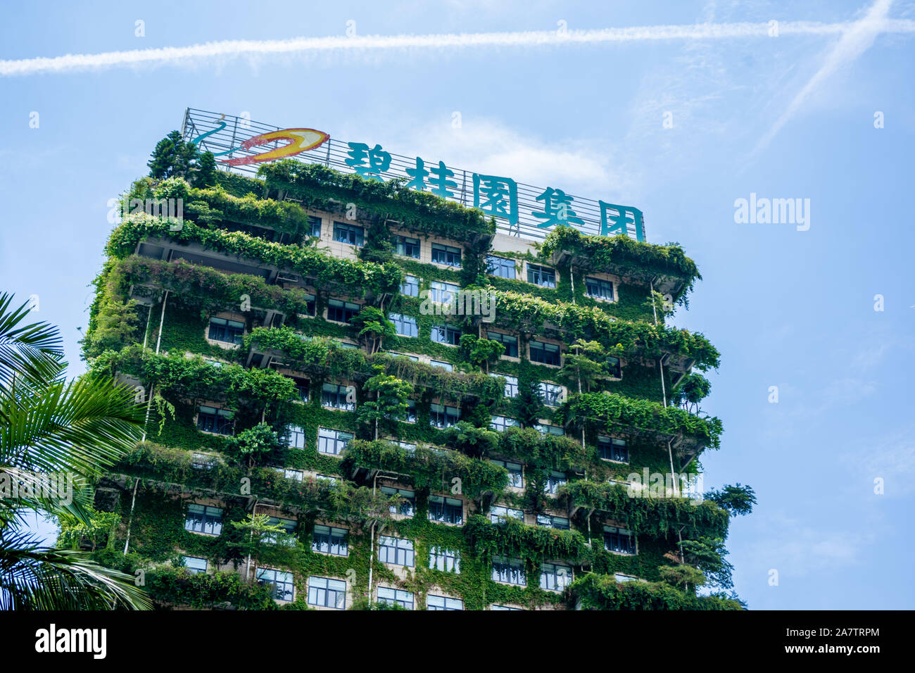 --FILE--View of the headquarters of Country Garden in Foshan city, east ...