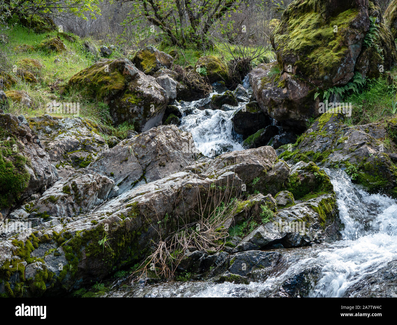 Stream cascading down rocks sierra foothills california Stock Photo - Alamy