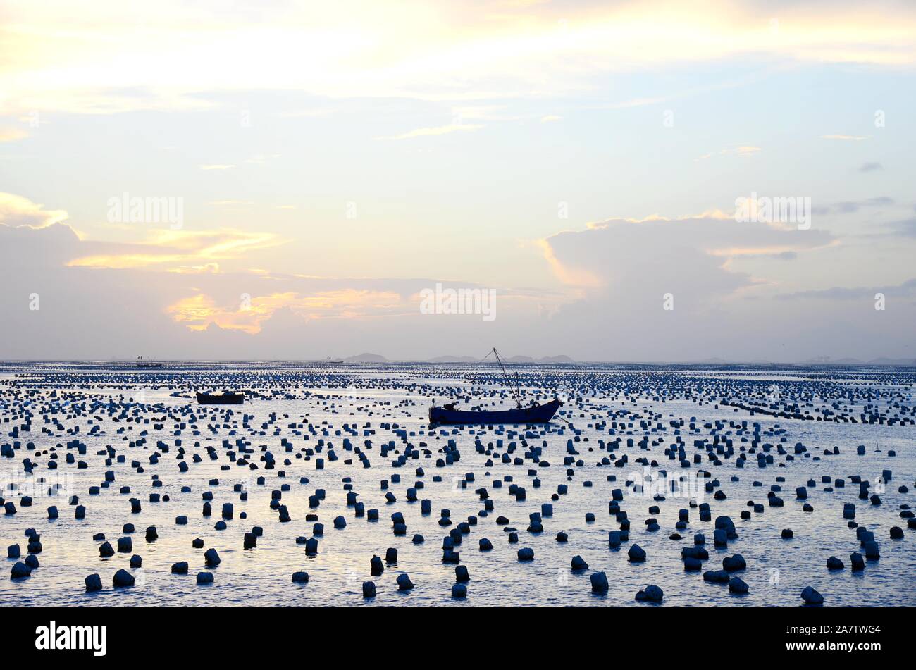 Fishing boats float around Goqi Island, the center of China's largest ...
