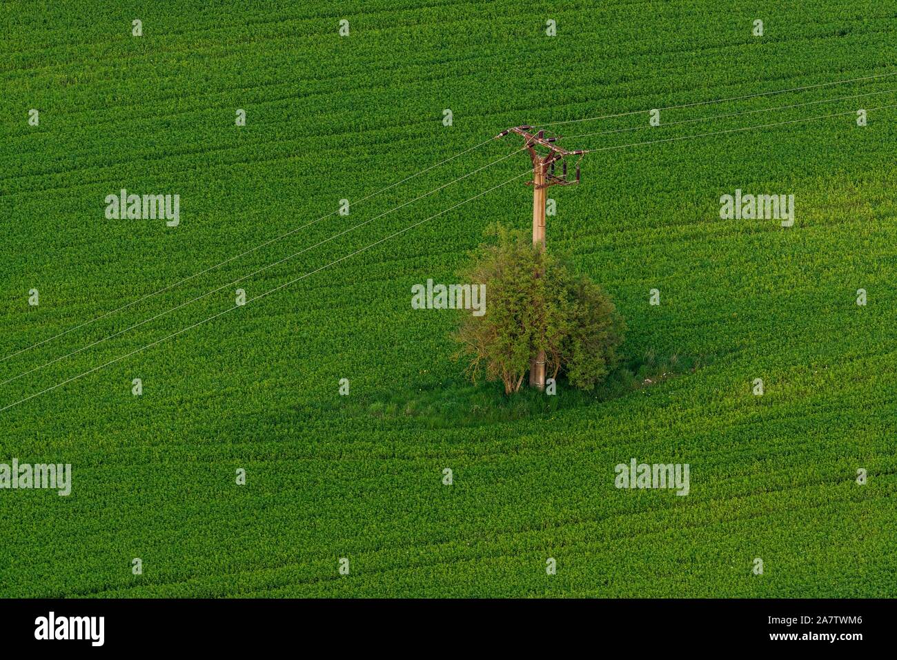 Powerline aerial hi-res stock photography and images - Alamy