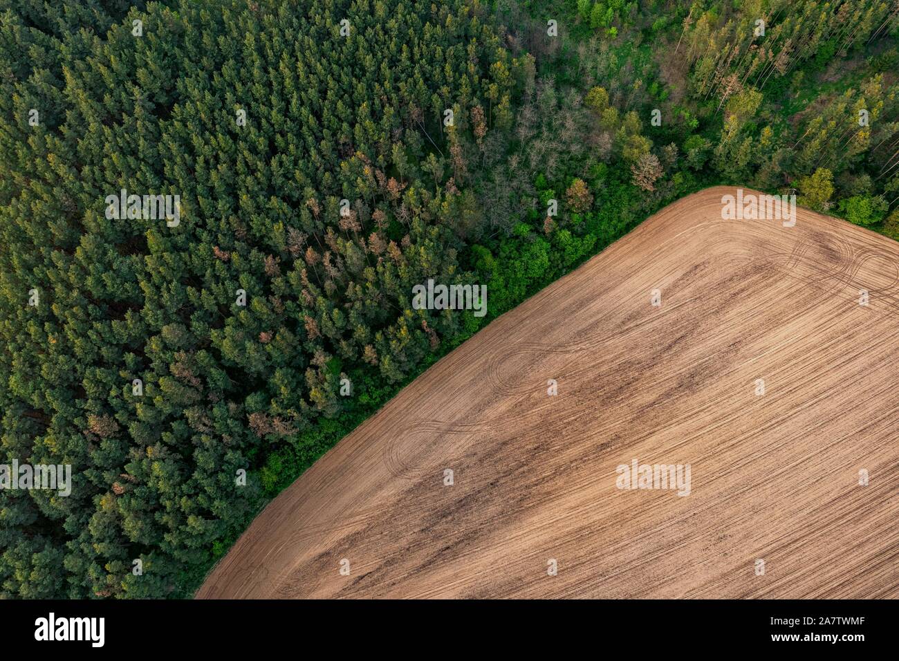 Aerial view of the boundary between a forest and a cultivated field ...