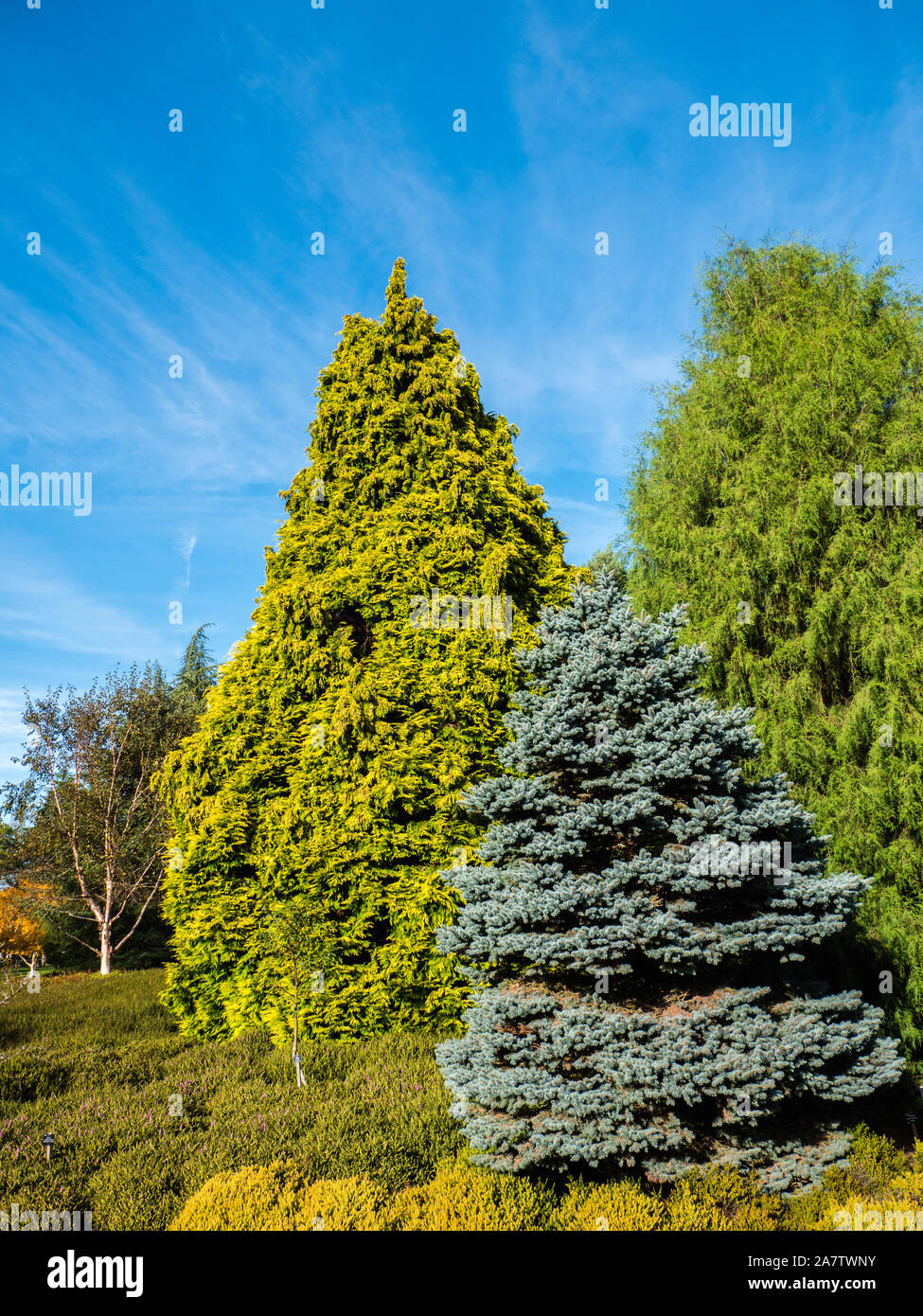 Heather gardens hi-res stock photography and images - Alamy