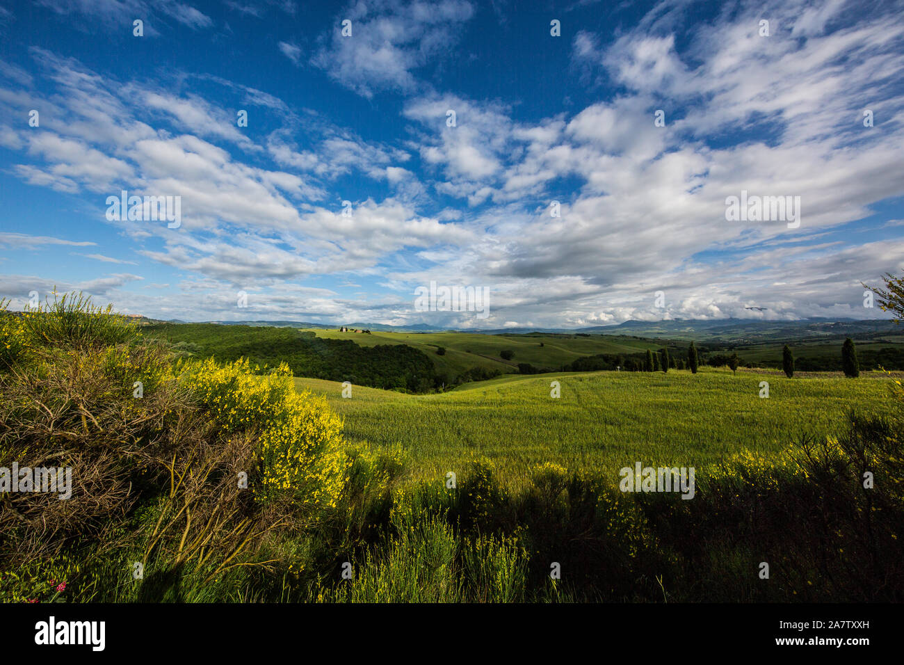 Turismo toscano hi-res stock photography and images - Alamy