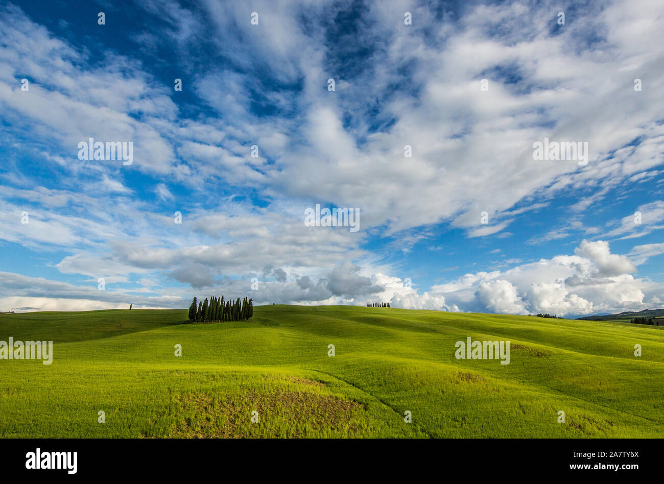 Visittuscany hi-res stock photography and images - Alamy