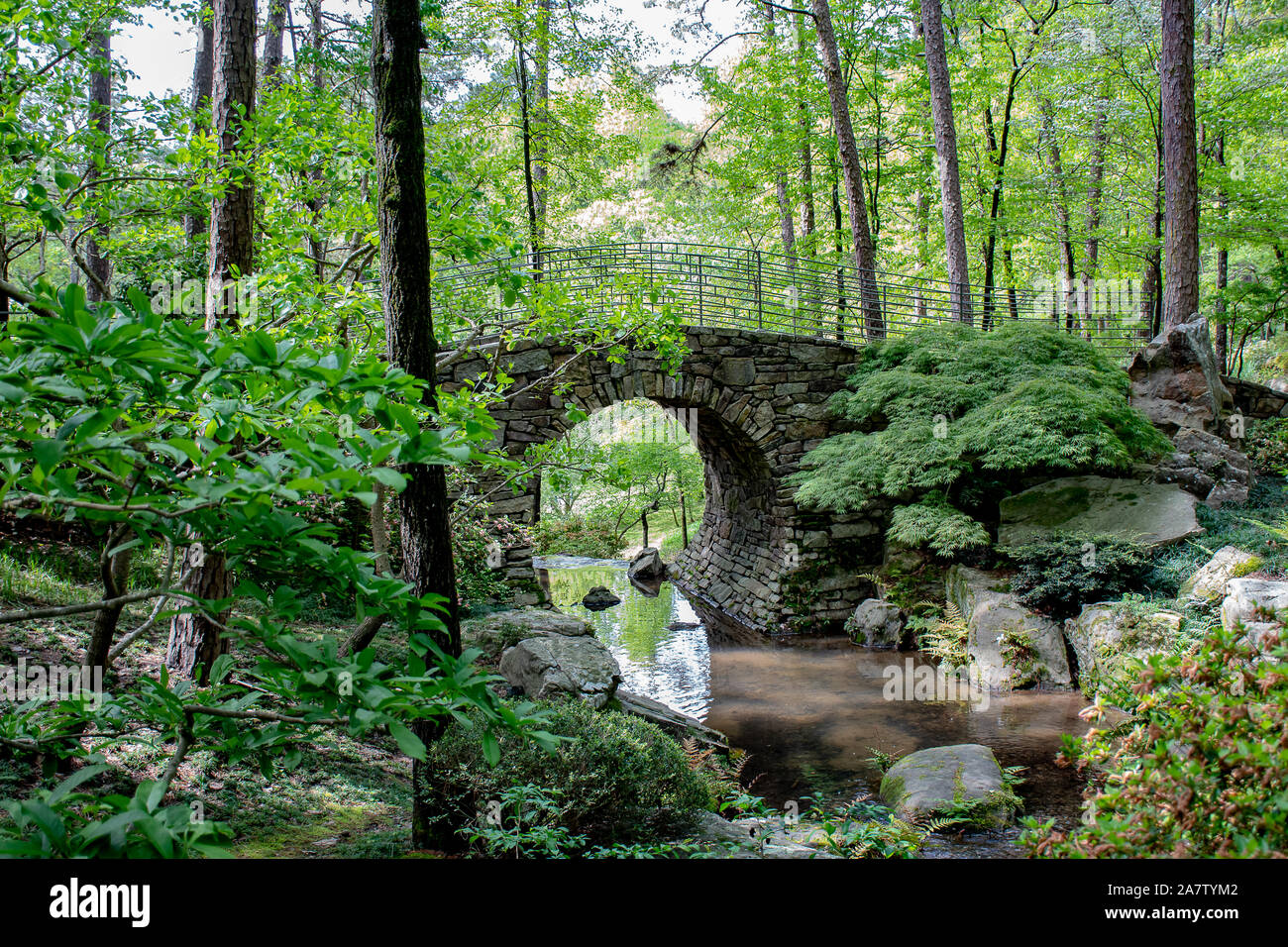 Stone bridge with a stream in a forest in the Ozark mountains Arkansas ...