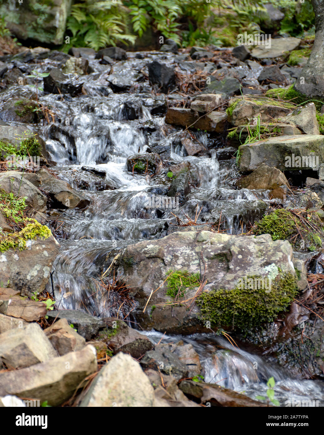 Ozark Mountains Spring