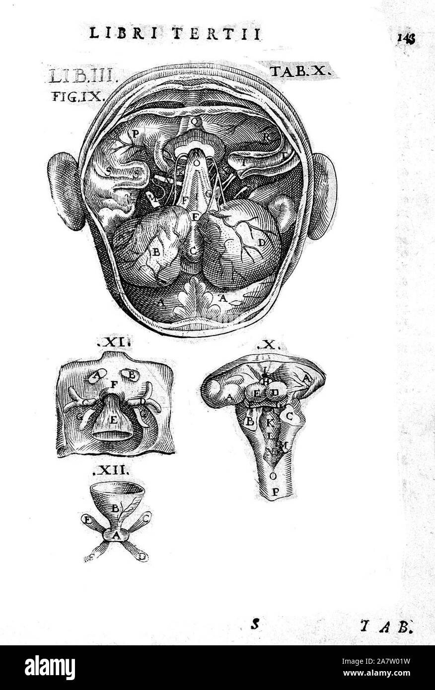 Theatrum anatomicum Black and White Stock Photos & Images - Alamy