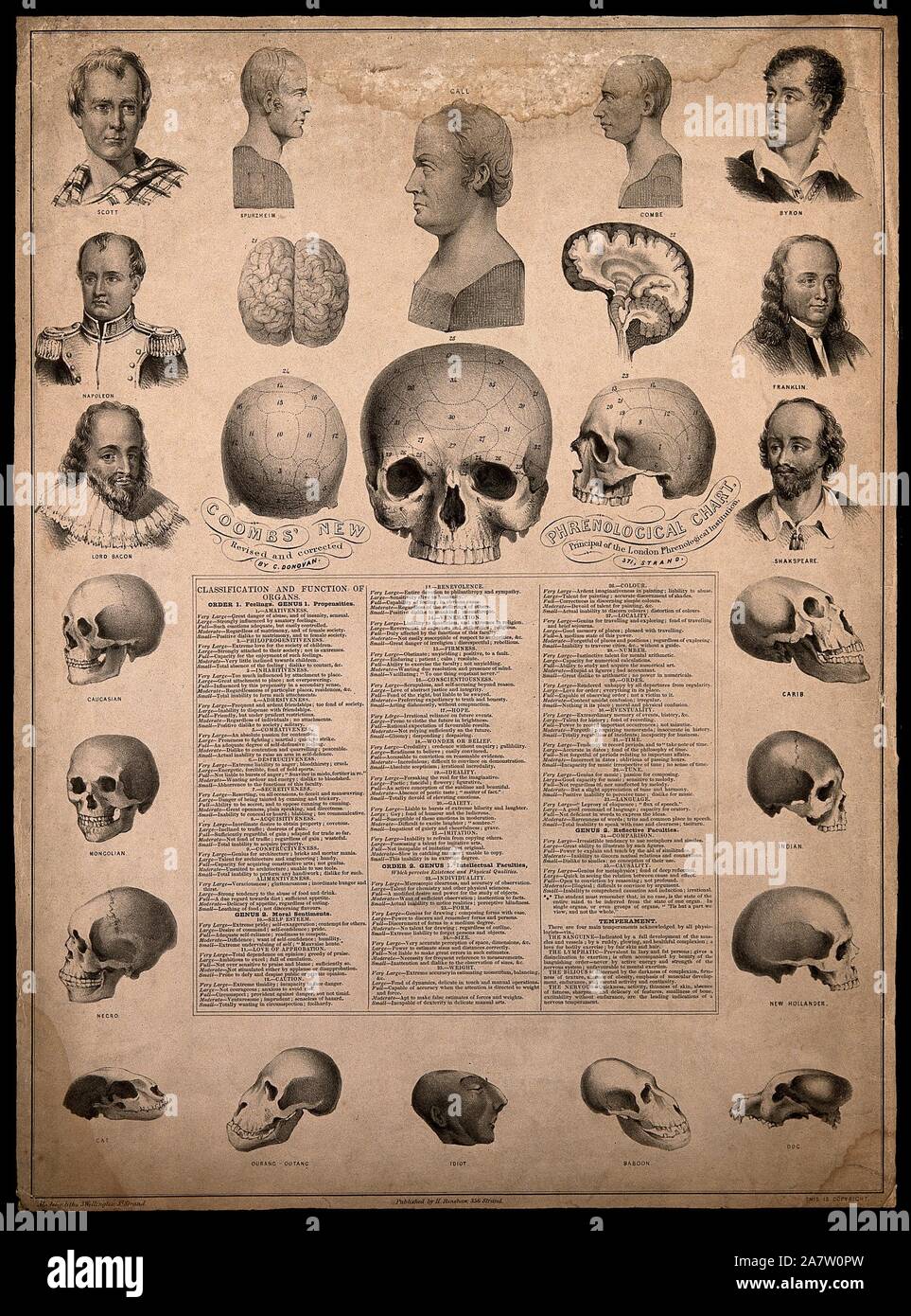 Body human vintage chart hi-res stock photography and images - Alamy