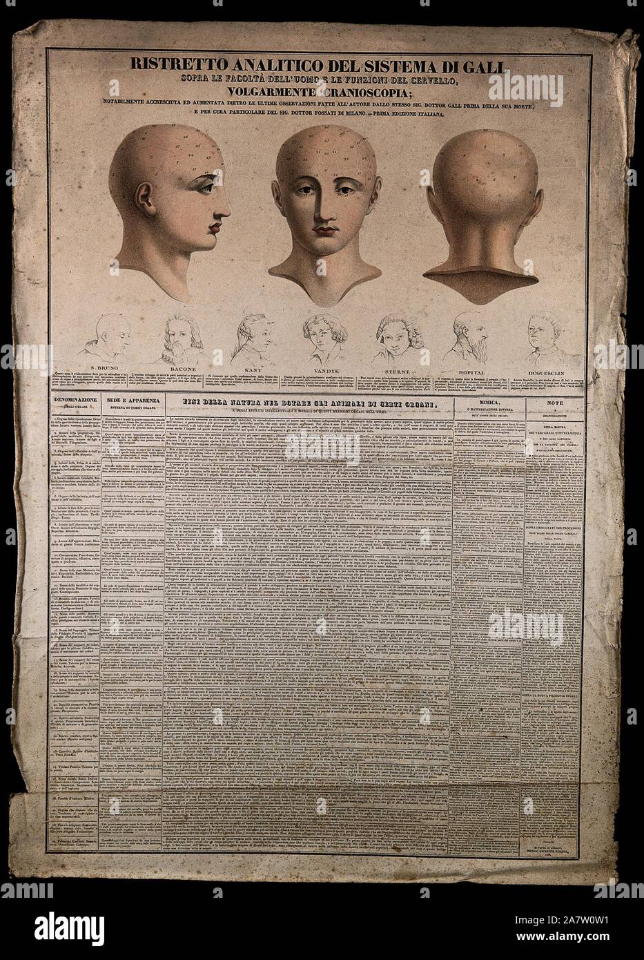 Body human vintage chart hi-res stock photography and images - Alamy