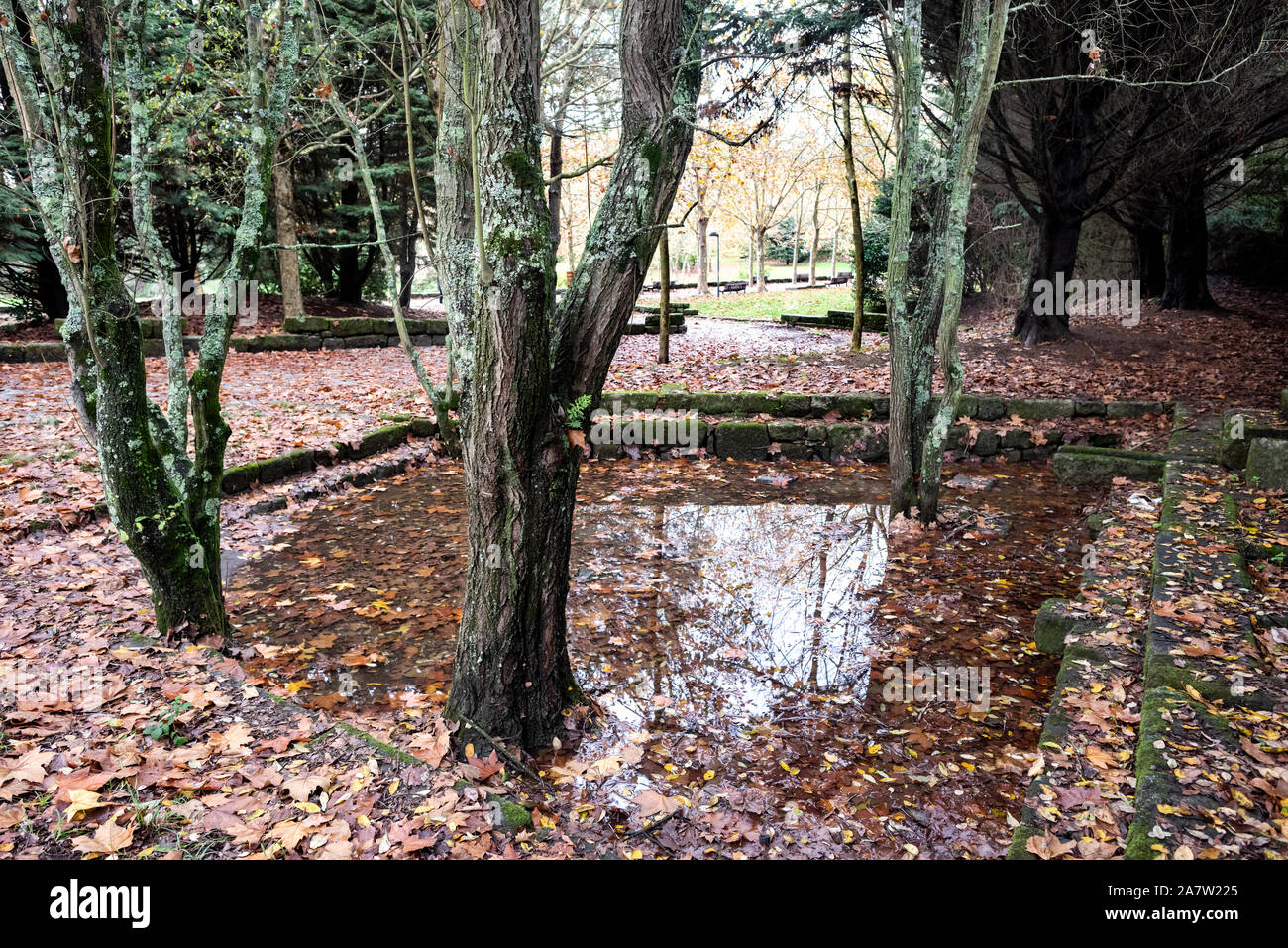 Oporto green hi-res stock photography and images - Alamy
