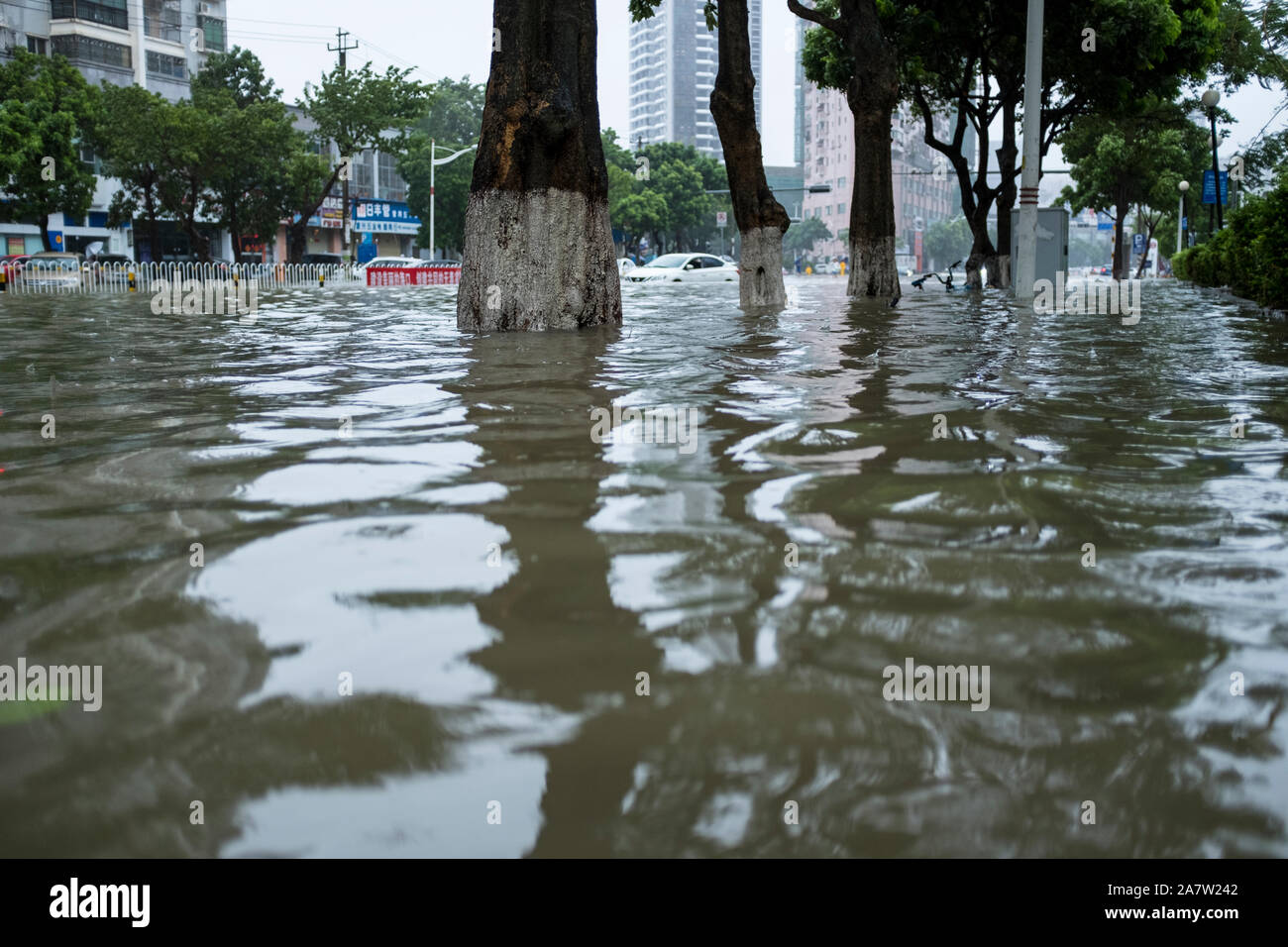A road is submerged by floodwater after a heavy rainstorm caused by ...