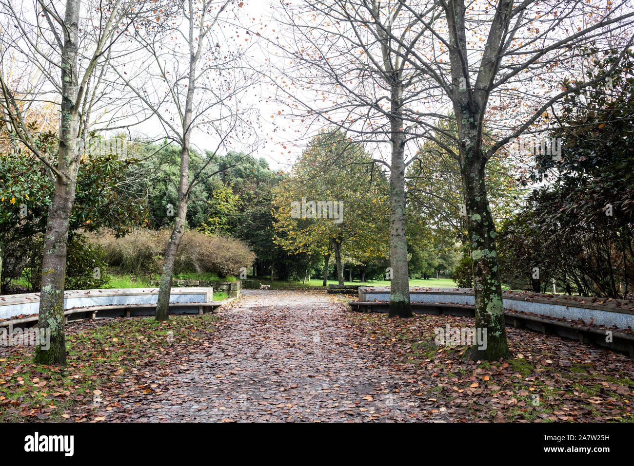 Park cidade city park porto hi-res stock photography and images - Alamy