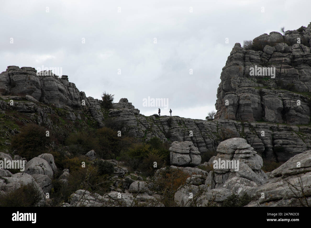 Stony patch hi-res stock photography and images - Alamy