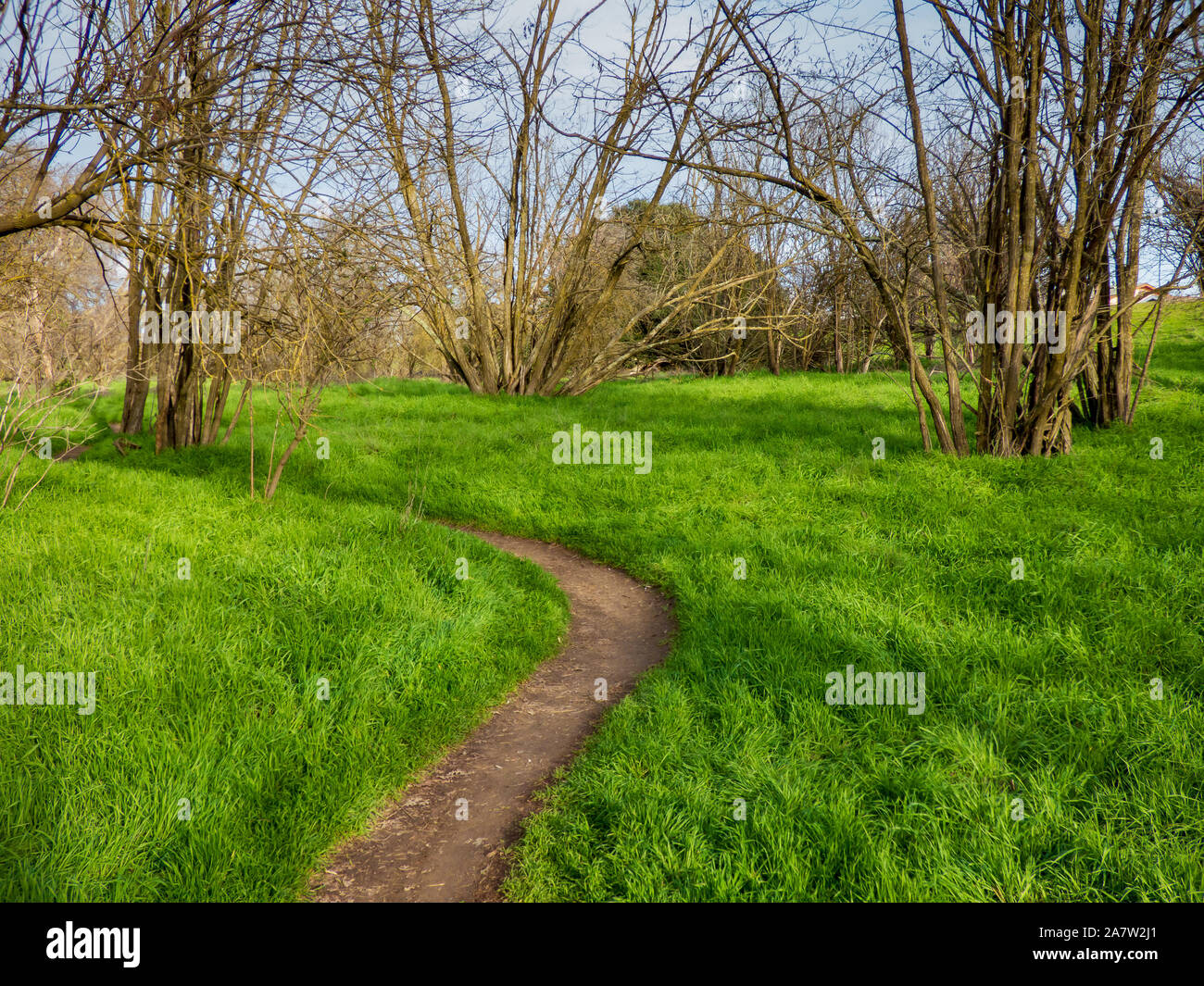 Curved hiking trail hi-res stock photography and images - Alamy