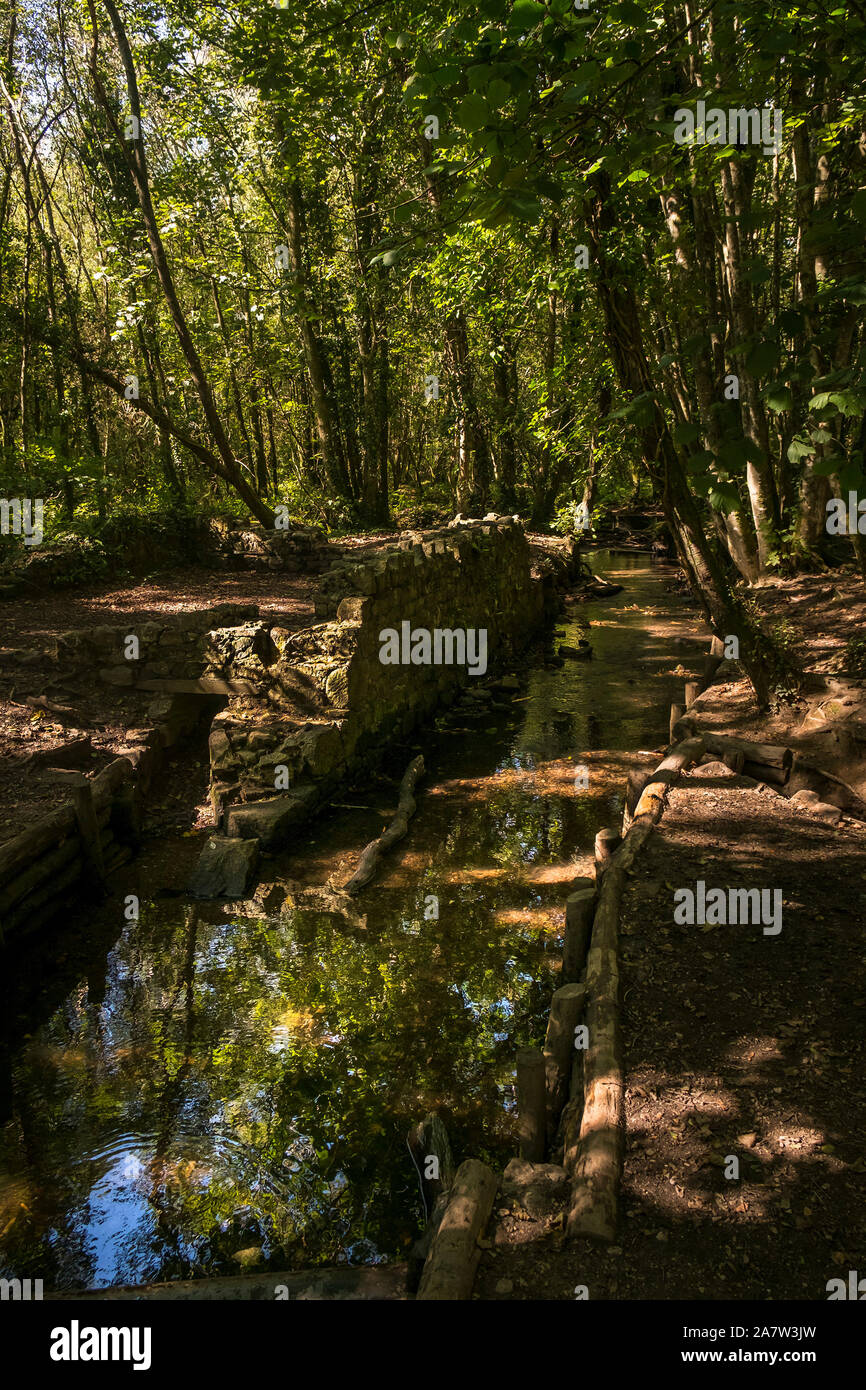 Tehidy Trail High Resolution Stock Photography and Images - Alamy