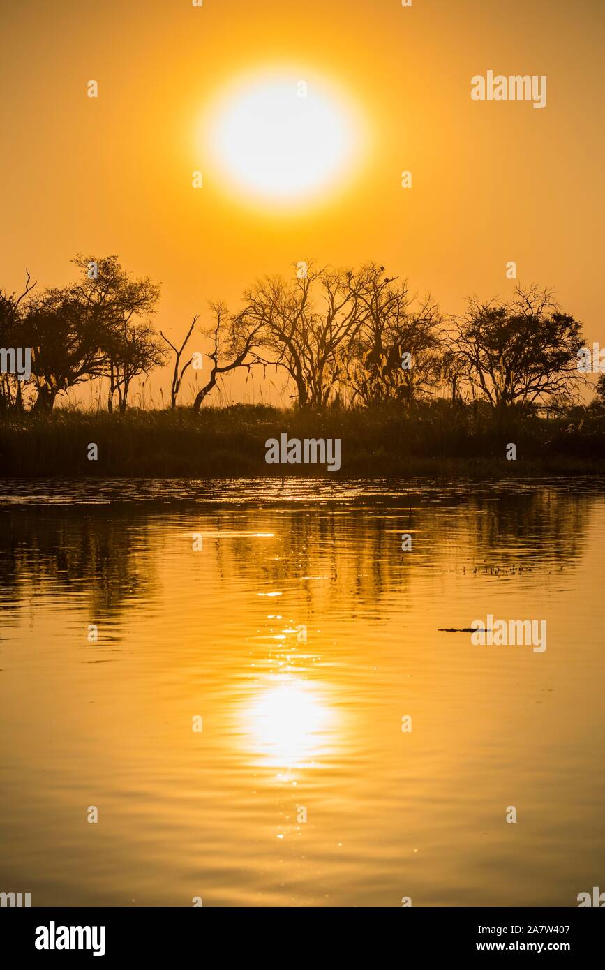 River landscape in the Okavango Delta at sunset, Moremi Wildlife ...