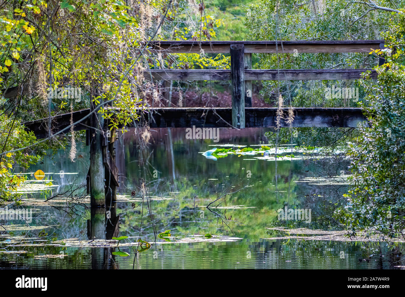 Bridge with a stream in a forest - Central Florida Stock Photo - Alamy
