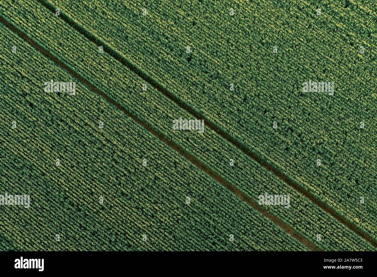 Drone sowing fields hi-res stock photography and images - Alamy