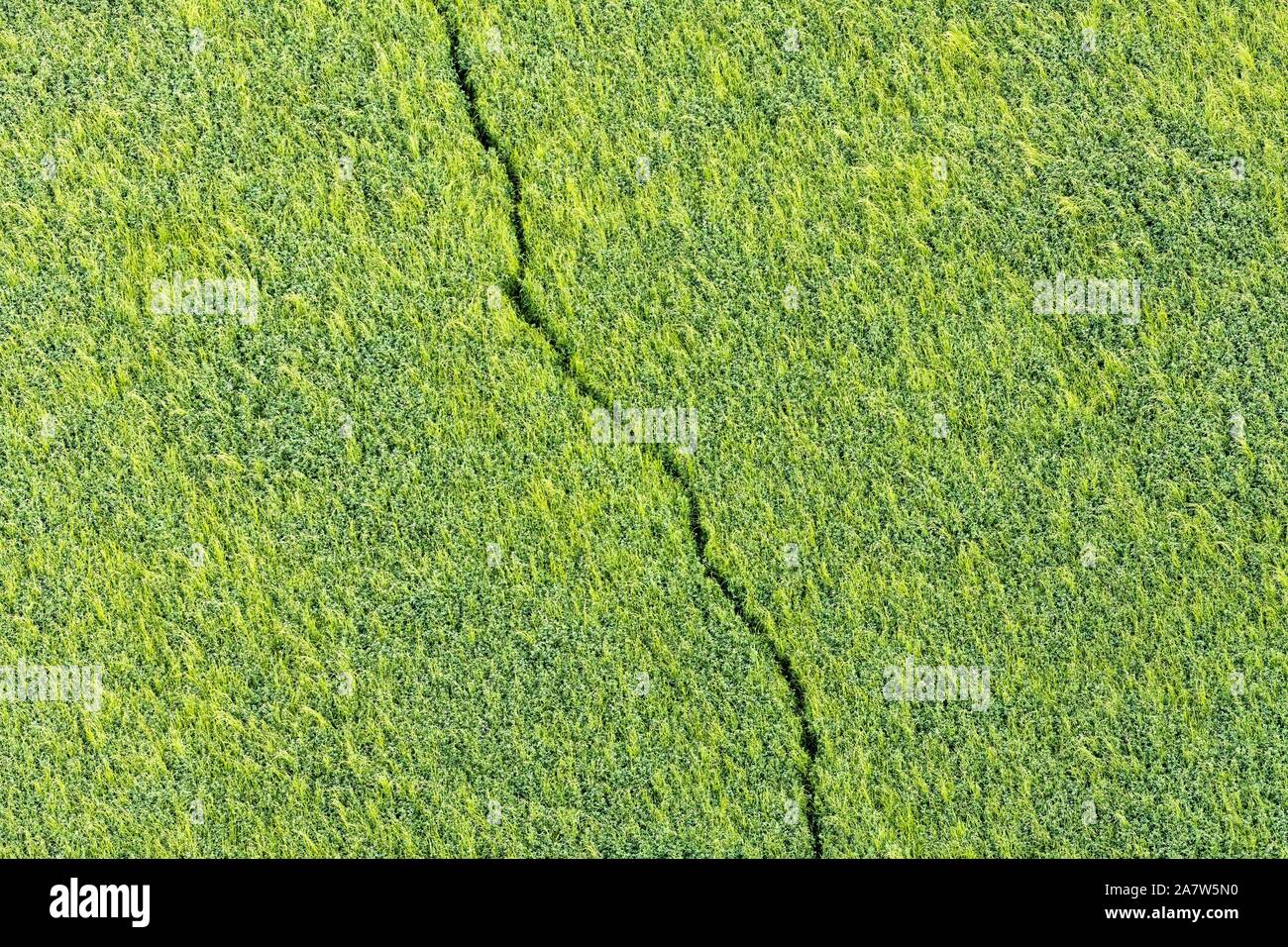 Sowing track hi-res stock photography and images - Alamy