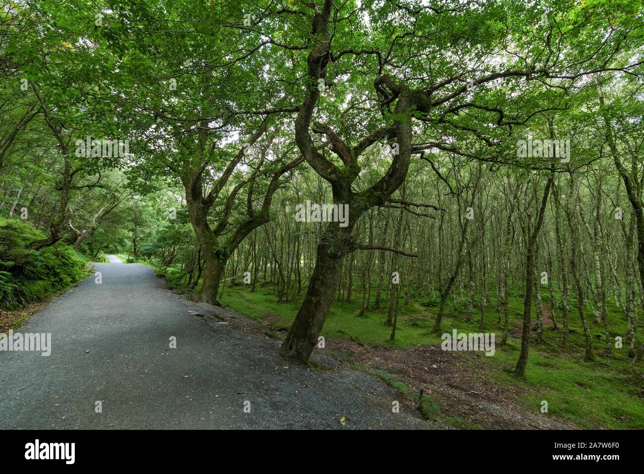 St Kevin's Way Wicklow High Resolution Stock Photography and Images - Alamy