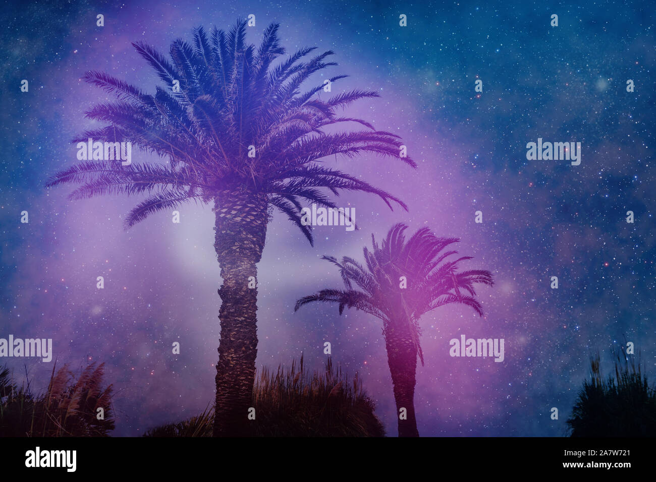 Abstract Space Tree Wallpaper