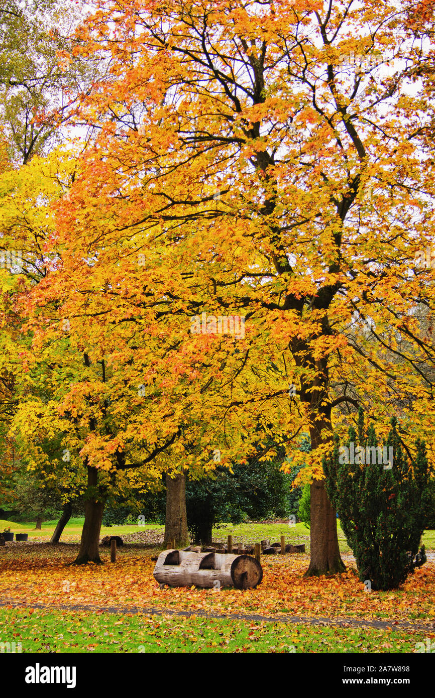 Autumn in thompson park hi-res stock photography and images - Alamy