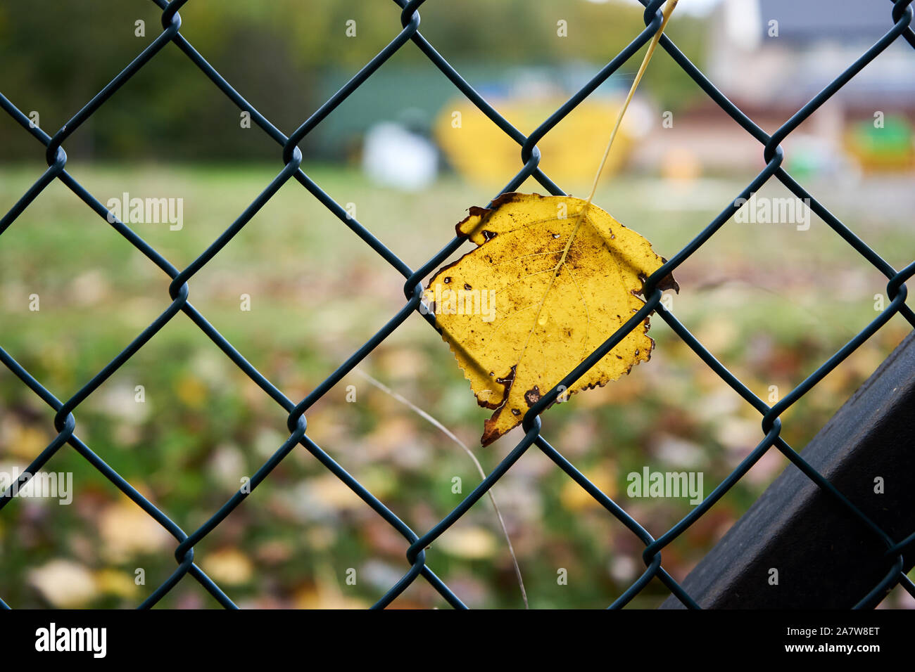 Stuck in fence hi-res stock photography and images - Alamy