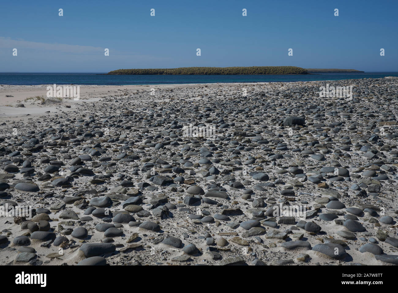Coastal landscape of Bleaker Island in the Falkland Islands Stock Photo ...