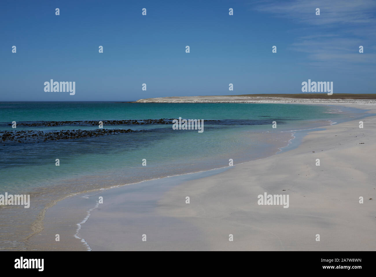 Coastal landscape of Bleaker Island in the Falkland Islands Stock Photo ...