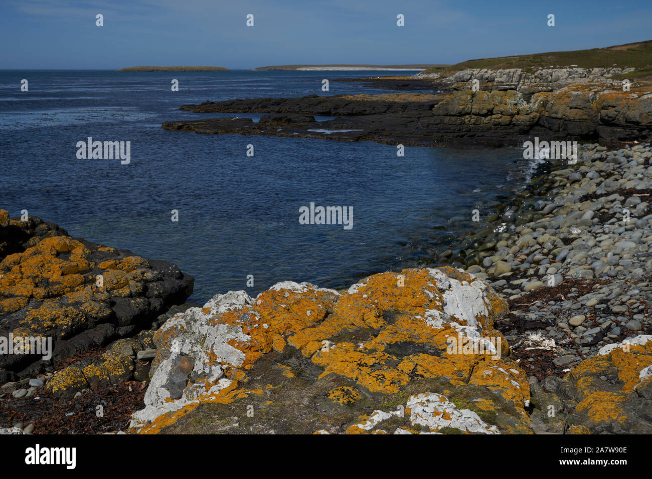 Coastal landscape of Bleaker Island in the Falkland Islands Stock Photo ...