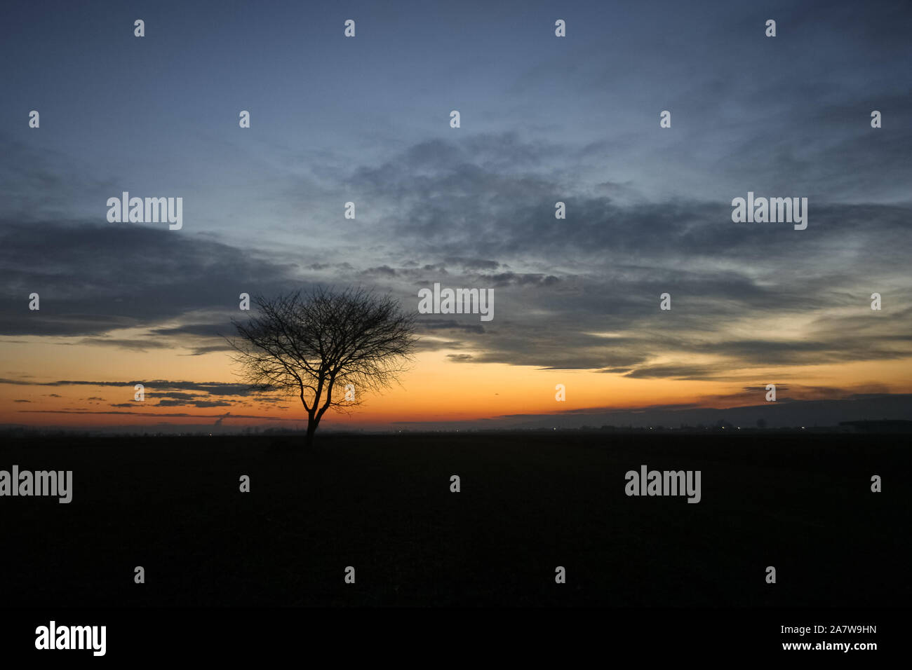 Tree solitaire silhouette hi-res stock photography and images - Alamy