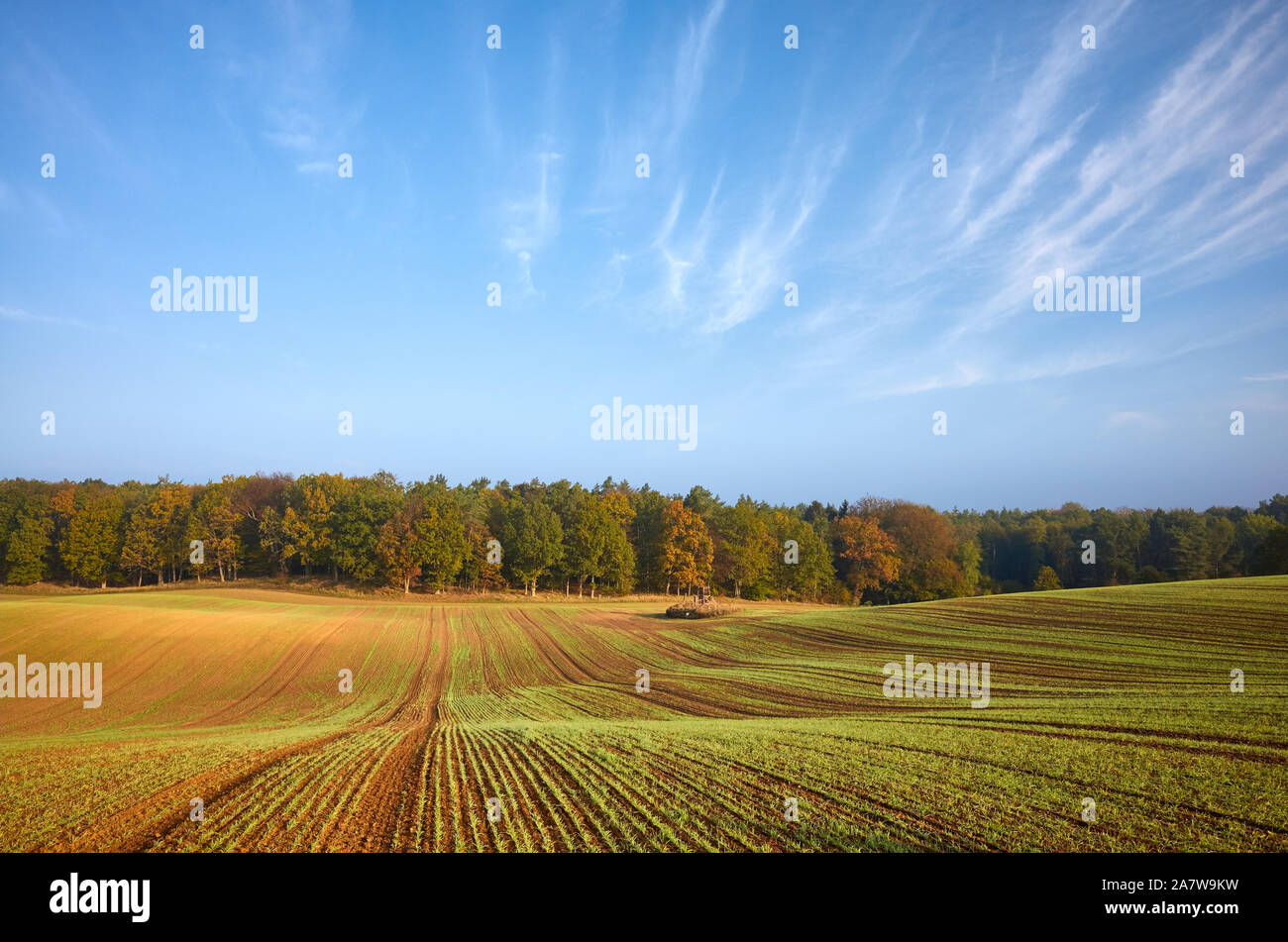 Fall forest landscape rural hi-res stock photography and images - Alamy