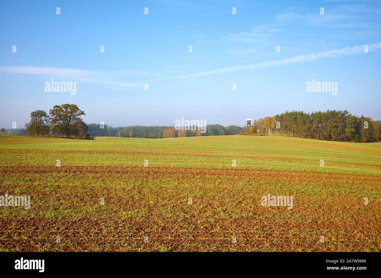 View autumn field forest hi-res stock photography and images - Alamy