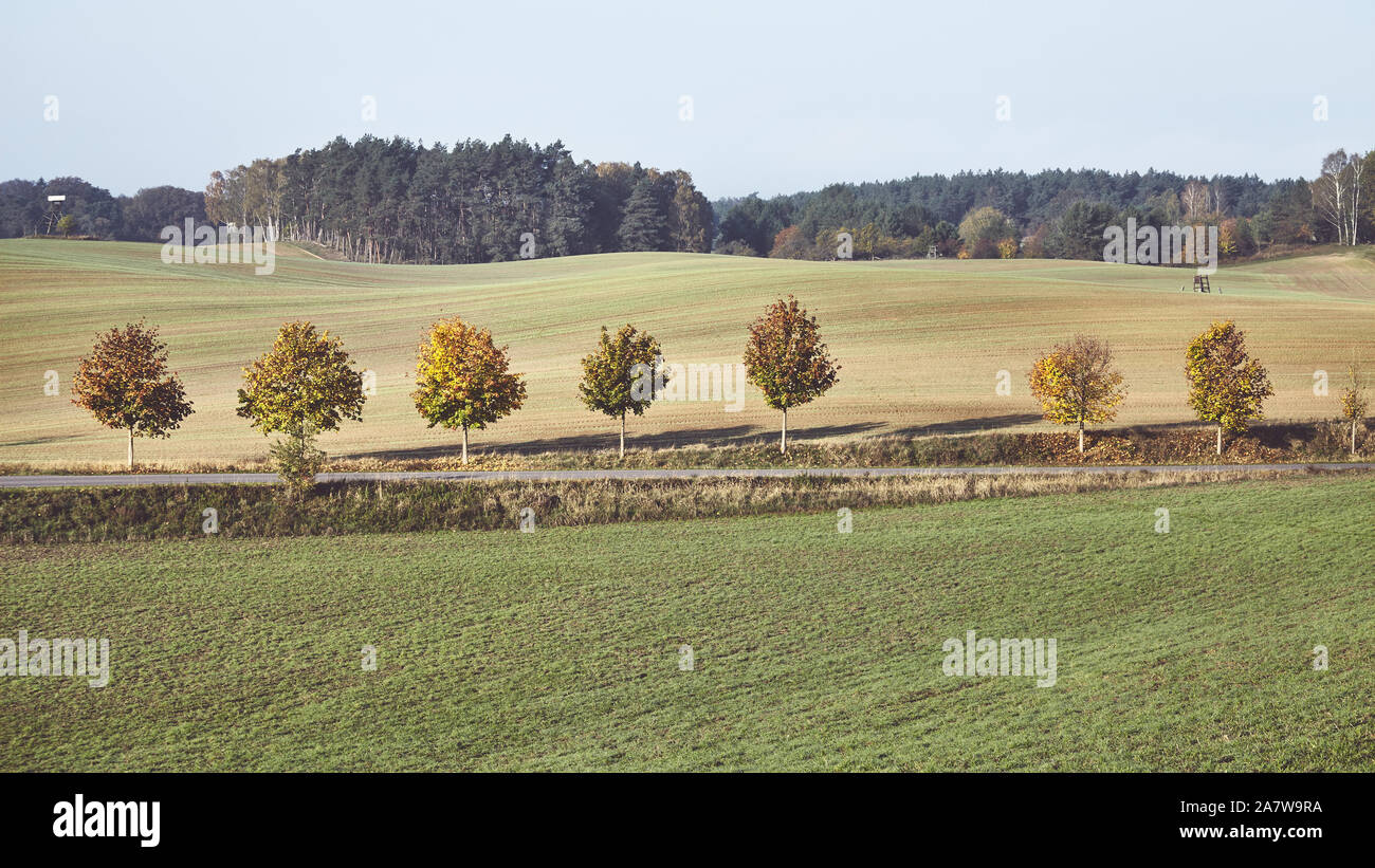 Trees along the road hi-res stock photography and images - Alamy