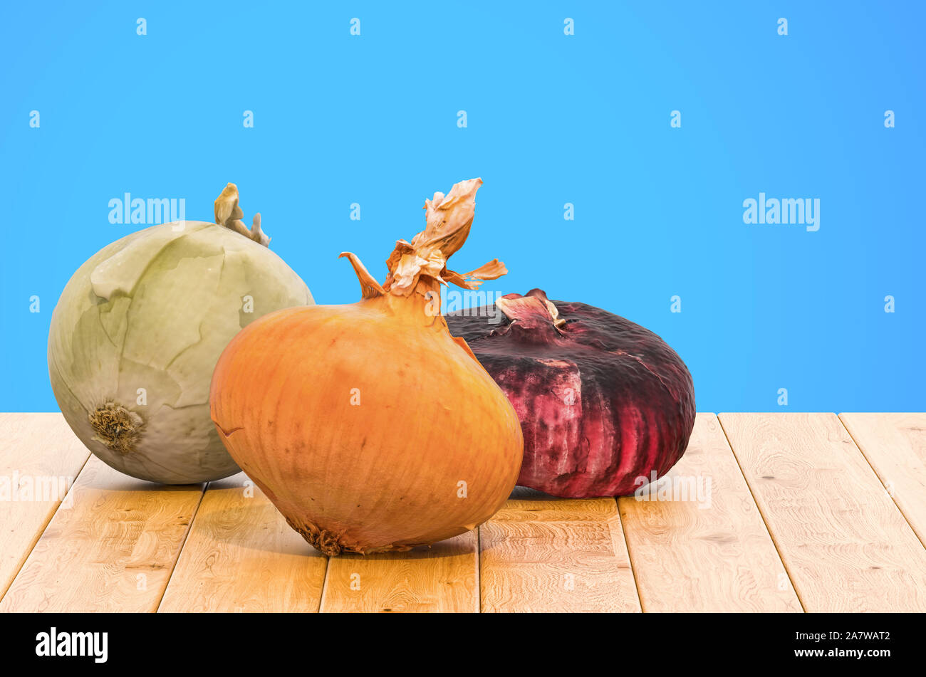 Different Types of Onions 3d rendering with realistic texture on the ...