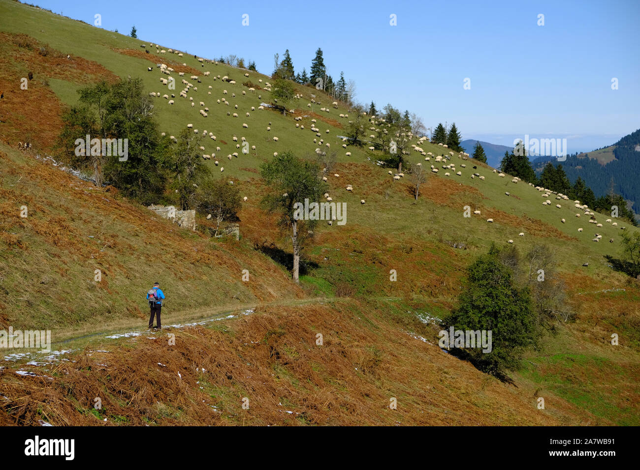 trabzon province Maçka district Kırantaş village ridges of autumn ...