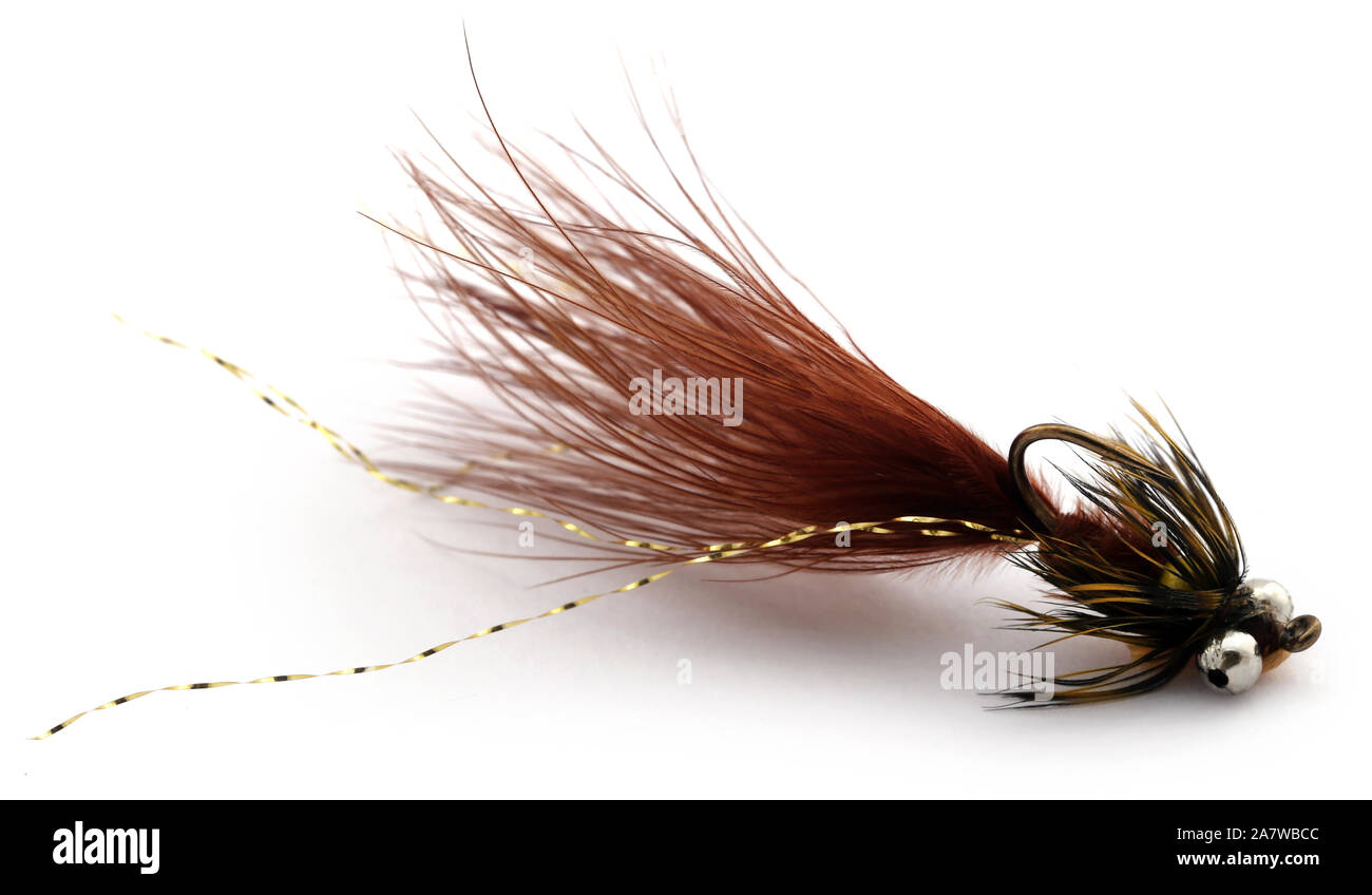 Fishing fly with hook over white background Stock Photo - Alamy