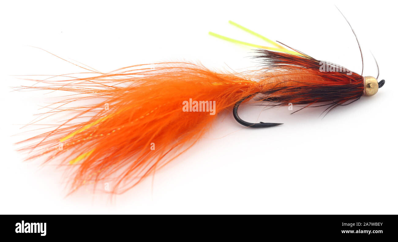 Fishing fly with hook over white background Stock Photo - Alamy