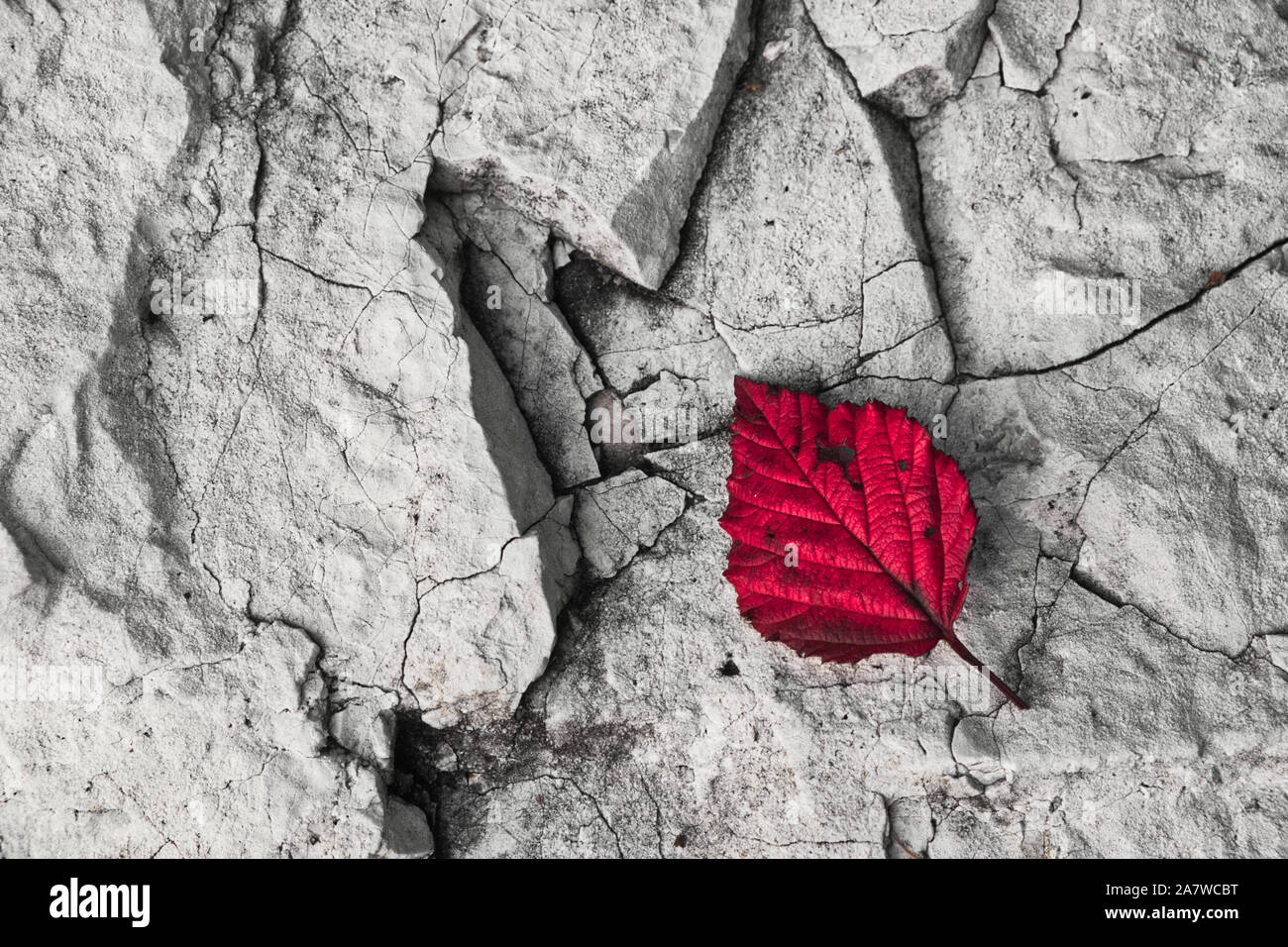 Rock composition hi-res stock photography and images - Alamy