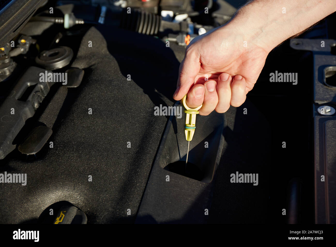 Men's hand holding the oil dipstick - checking the oil level Stock ...
