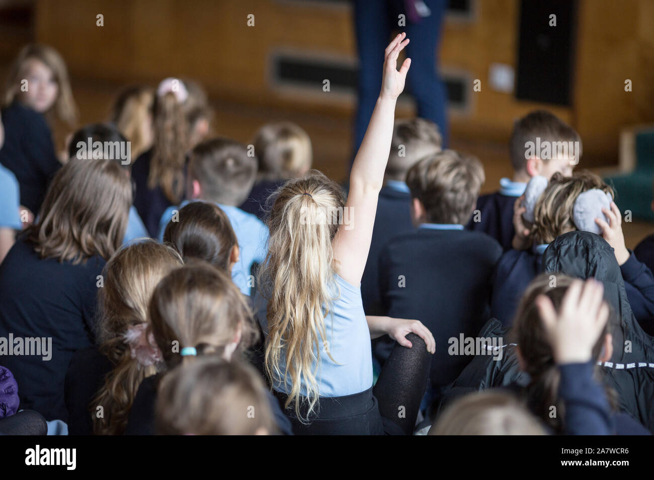 Primary school pupils put their hands up during an assembly Stock Photo ...