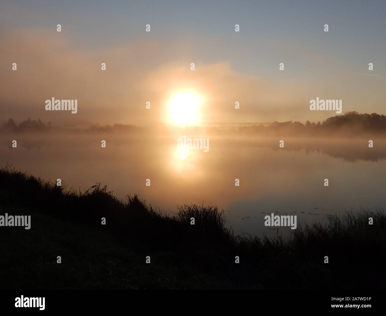 Beautiful, colorful landscape of a foggy lake during sunrise. Misty ...