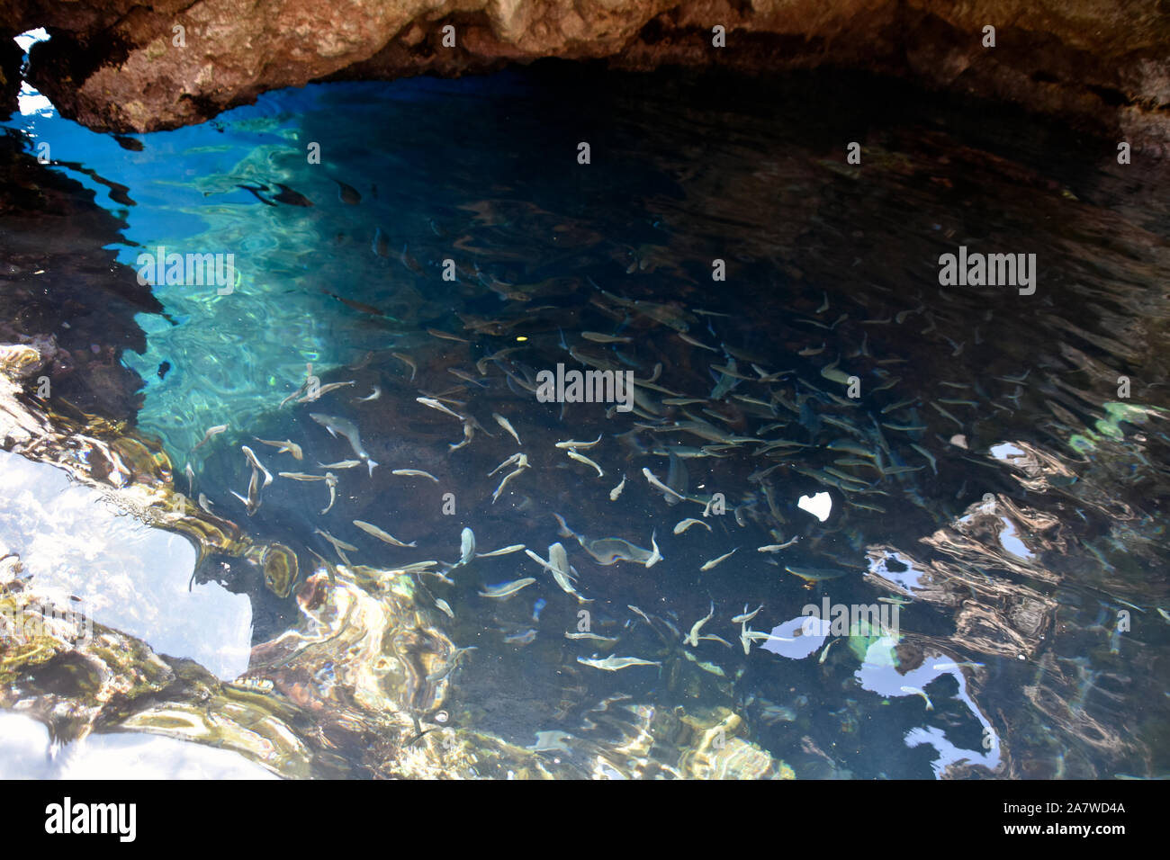tourist island greece ionian korfu Stock Photo - Alamy