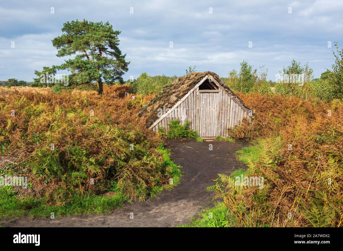Peat house on a beautiful sunny day, Autumn season colors, de Groote Peel national park, the ...