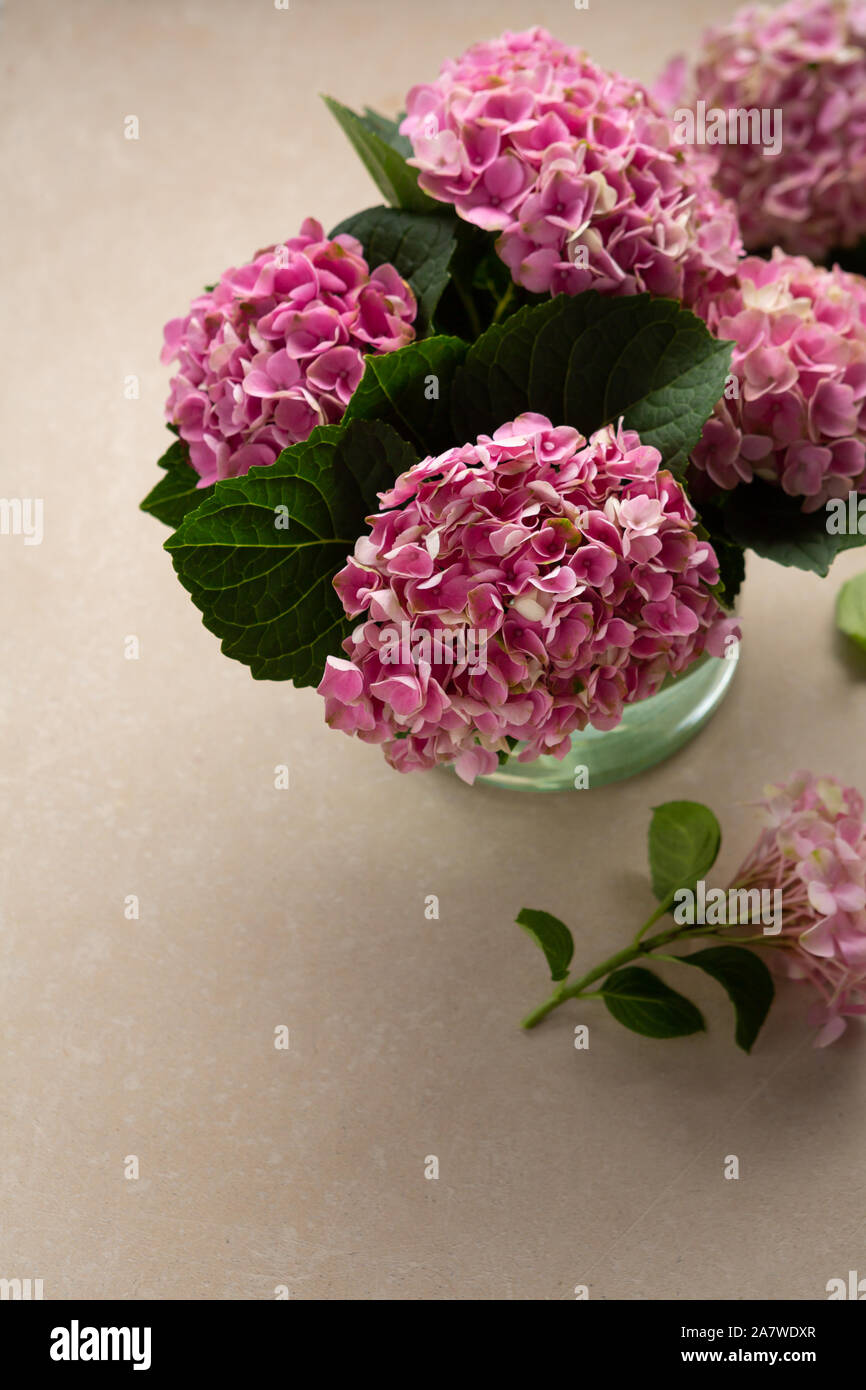 Branches of pink hydrangea in glass vase Stock Photo - Alamy